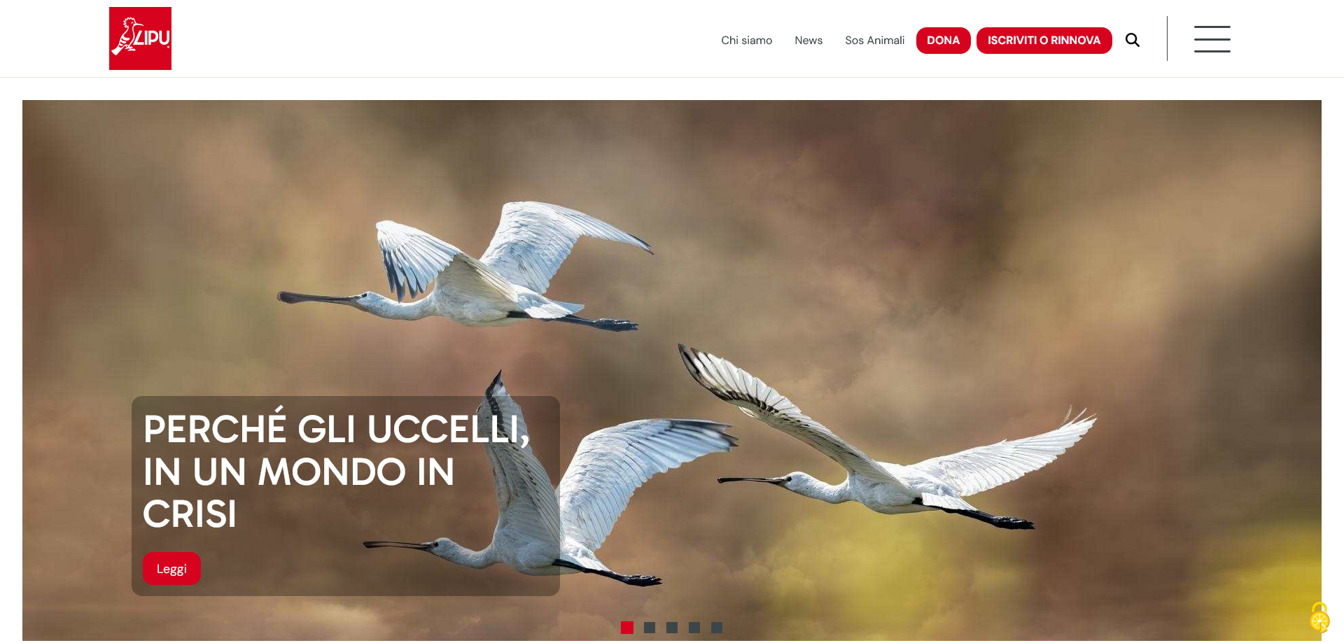 Online il nuovo sito web della Lipu | Lipu ODV